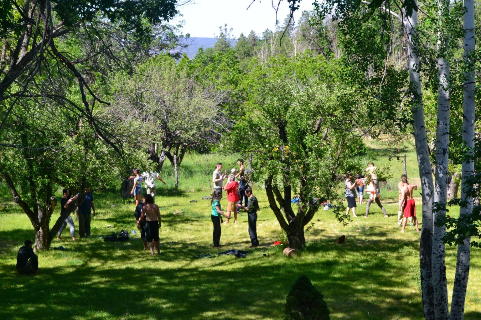 Nurturing the Roots - The Tracking Project